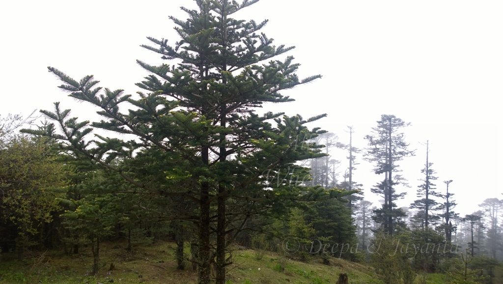 Sight-Seeing in Paro, Bhutan - Wheels On Our Feet