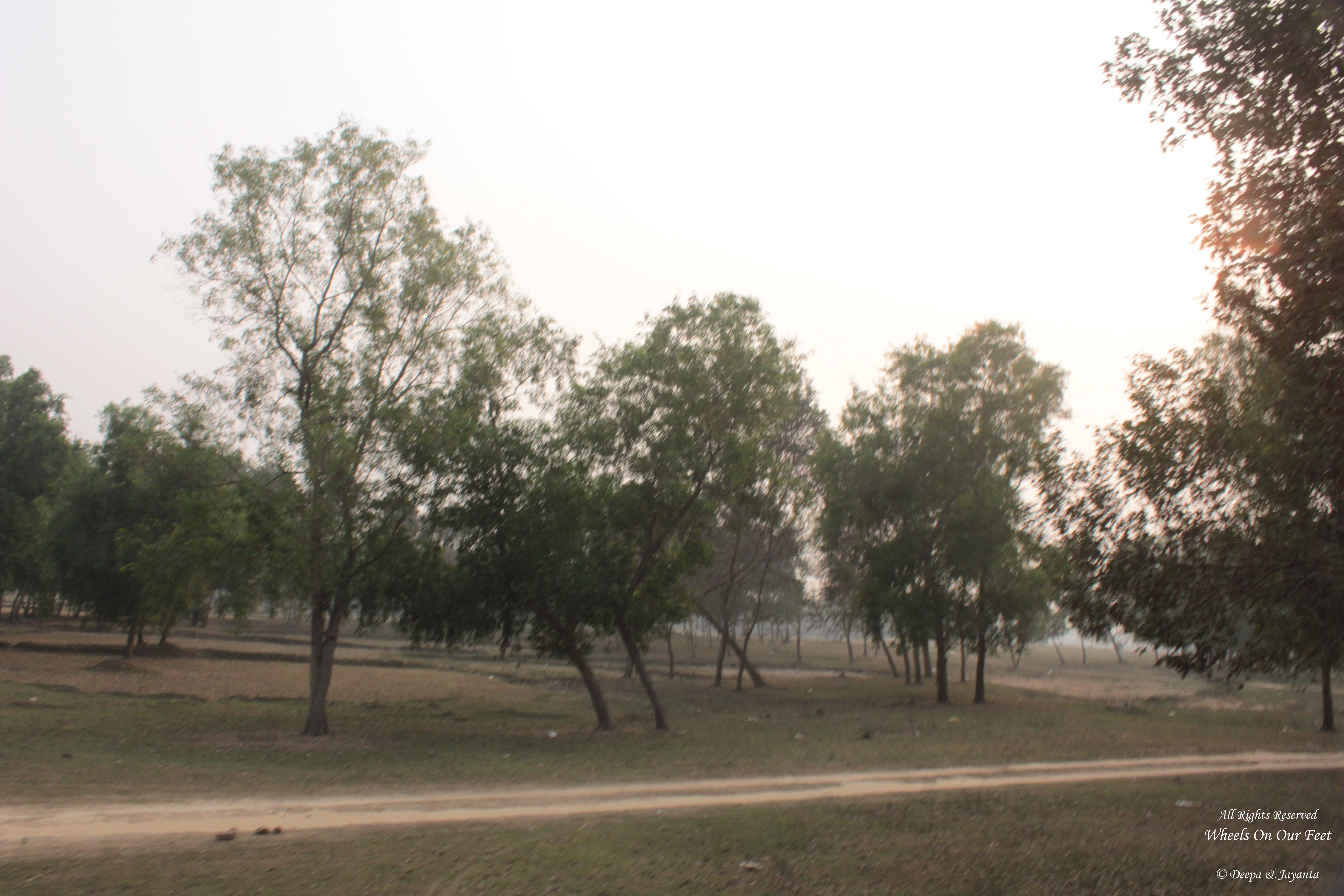 Kopai River in Shantiniketan (1) - Wheels On Our Feet