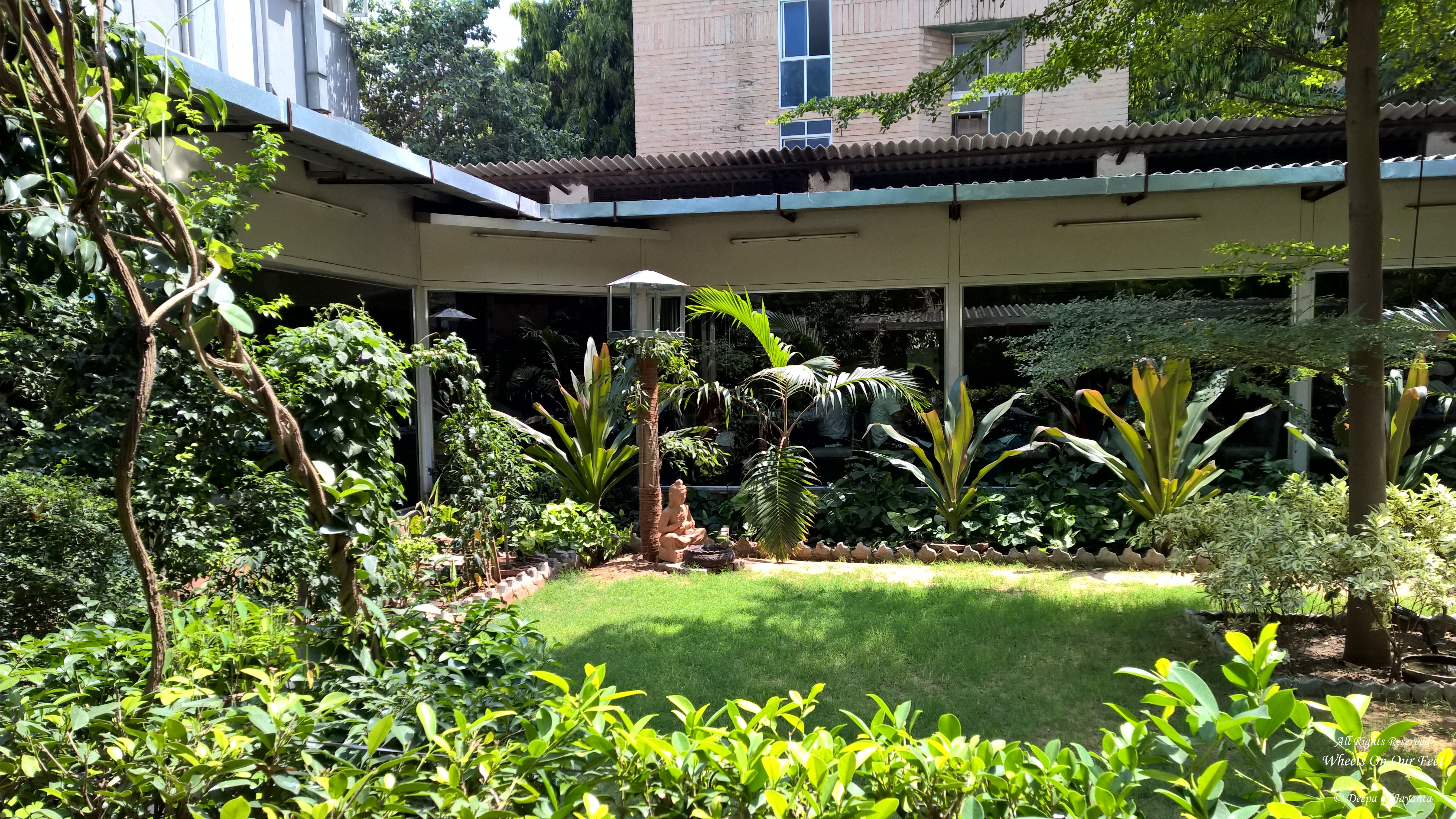 Best Thali in Ahmedabad -Toran - Wheels On Our Feet